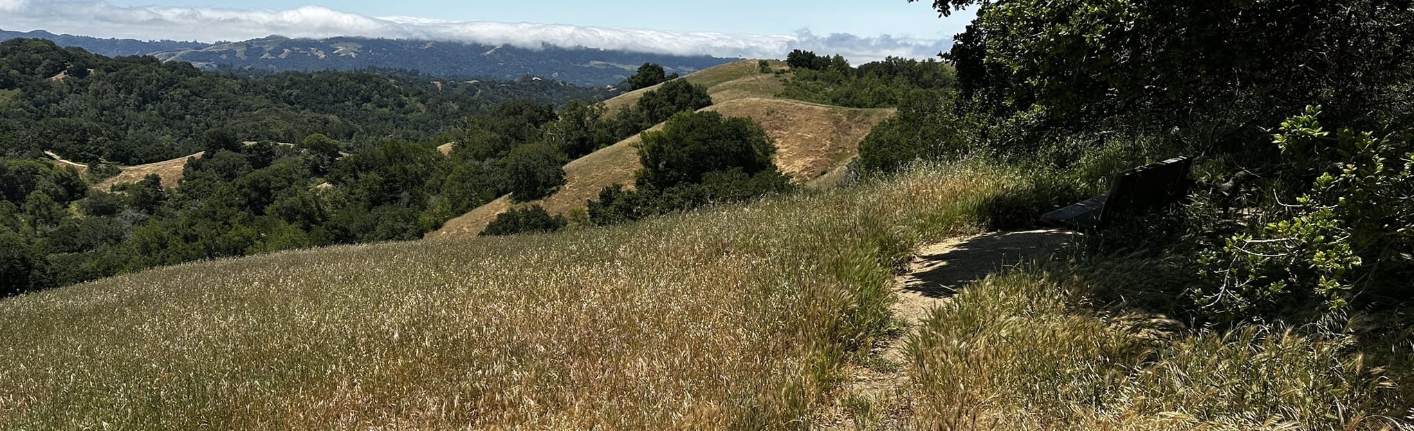 AllTrails | Briones Road Trail to Valley Trail Loop: 239 Reviews, Map ...