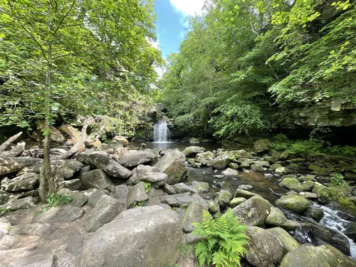 10 Best Waterfall Trails in Goathland | AllTrails