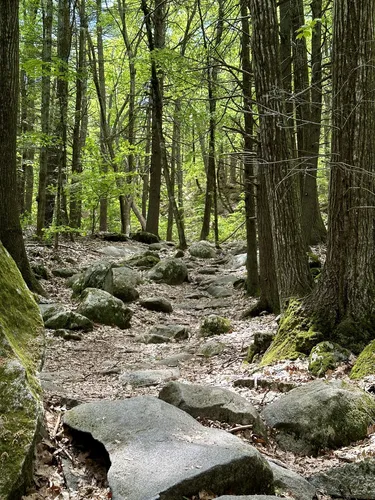 10 Best Trails and Hikes in Exeter | AllTrails
