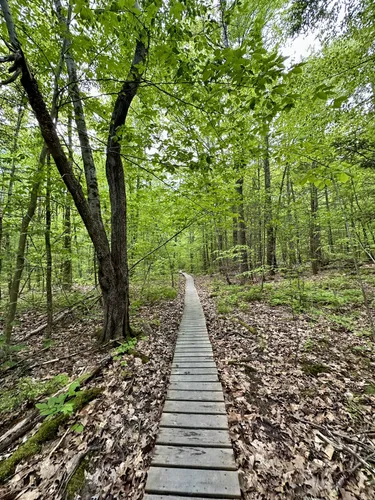 10 Best Trails and Hikes in Exeter | AllTrails