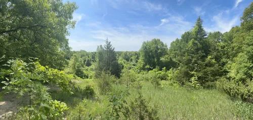 Best Forest Trails in Pontiac Lake Recreation Area | AllTrails
