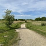 River Bluff Trail Loop, Illinois - 358 Reviews, Map | AllTrails