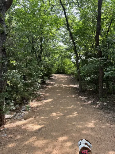 Best Hikes and Trails in Little Elm Park | AllTrails