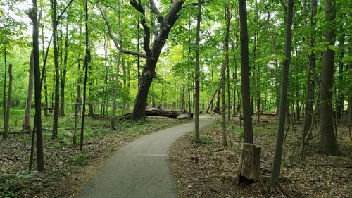 Best Hikes and Trails in Ada Township Park | AllTrails