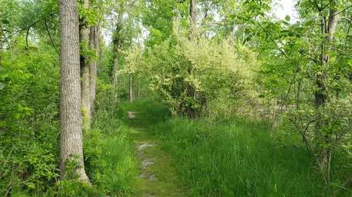 Best Hikes and Trails in Ada Township Park | AllTrails