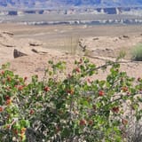 Trail to Skylight Arch, Utah - 388 Reviews, Map | AllTrails