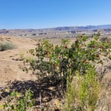 Trail to Skylight Arch, Utah - 388 Reviews, Map | AllTrails