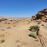 Trail to Skylight Arch, Utah - 388 Reviews, Map | AllTrails