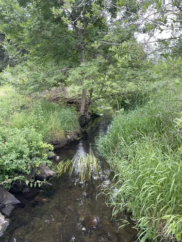 Best Hikes and Trails in Beaver Marsh Natural Preserve | AllTrails