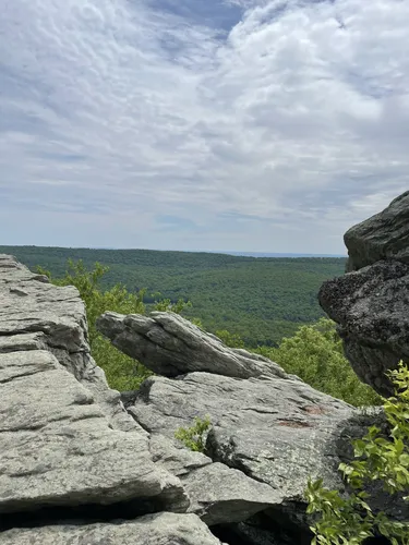 10 Best Long Trails in Michaux State Forest | AllTrails