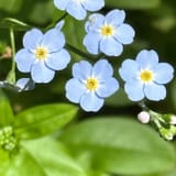 Washington Valley Park Trail, New Jersey - 648 Reviews, Map | AllTrails