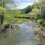 Washington Valley Park Trail, New Jersey - 648 Reviews, Map | AllTrails