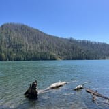 Blue River Lake North East trail, Oregon - 25 Reviews, Map | AllTrails