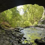 Buggytop Trail to Lost Cove Cave, Tennessee - 681 Reviews, Map | AllTrails