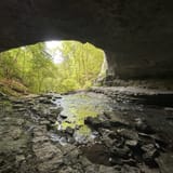Buggytop Trail to Lost Cove Cave, Tennessee - 681 Reviews, Map | AllTrails