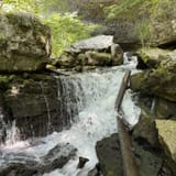 Buggytop Trail to Lost Cove Cave, Tennessee - 681 Reviews, Map | AllTrails