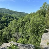 Buggytop Trail to Lost Cove Cave, Tennessee - 681 Reviews, Map | AllTrails