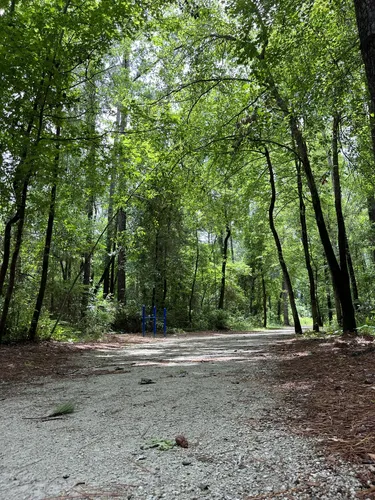 Best Hikes and Trails in Onslow Pines Park | AllTrails