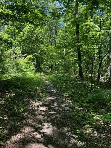 Best Hikes and Trails in Wappingers Falls | AllTrails