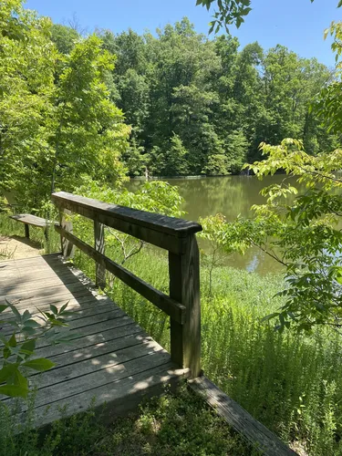 2023 Best Forest Trails in Chaffee | AllTrails