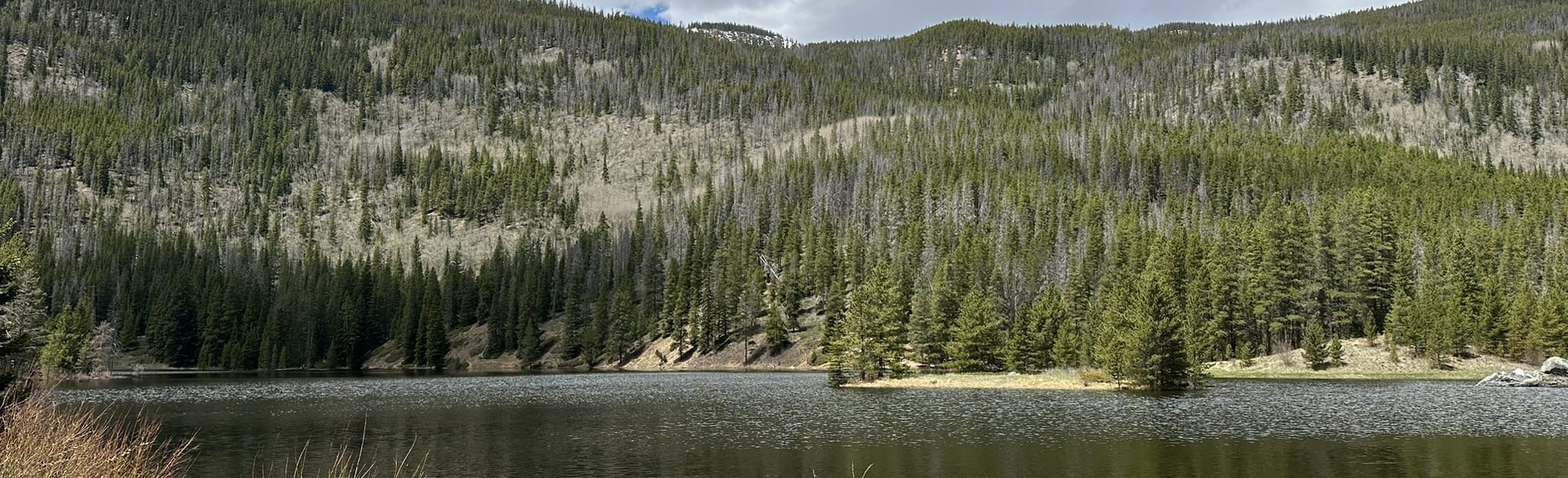 Officers Gulch, Colorado - 634 Reviews, Map | AllTrails