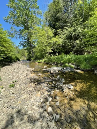 Best Views Trails in Salt Springs State Park | AllTrails