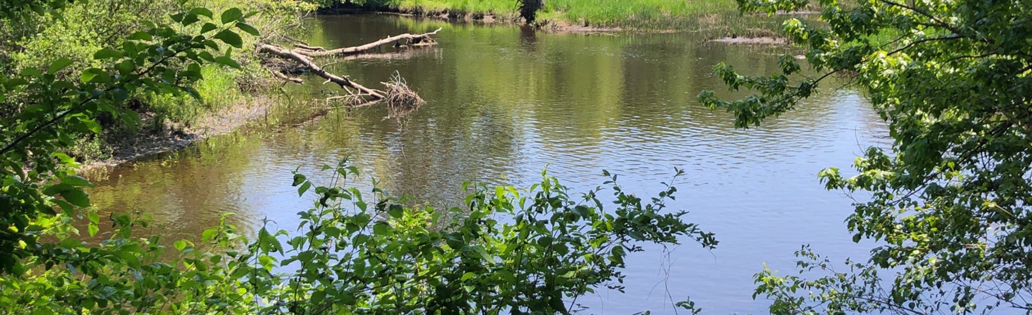 AllTrails | Shawsheen River and Vale Reservation Loop: 153 Reviews, Map ...