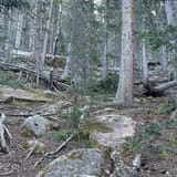 Sentinel Point Trail, Colorado - 163 Reviews, Map | AllTrails