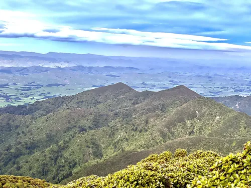 10 Best Hikes and Trails in Ruahine Forest Park | AllTrails