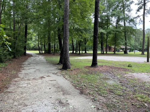 Best Hikes and Trails in Onslow Pines Park | AllTrails