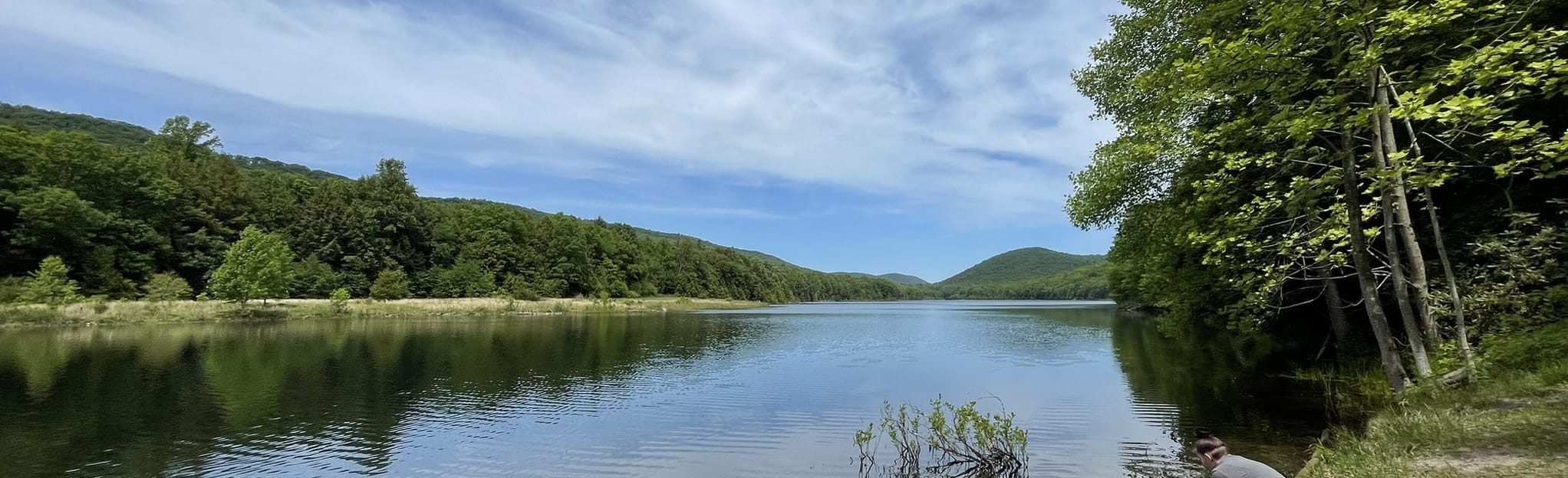Lebanon Reservoir Trail, Pennsylvania - 186 Reviews, Map | AllTrails
