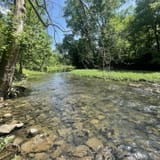 Sac River Trail, Missouri - 487 Reviews, Map | AllTrails