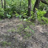 D&L Trail: Slatington - Jim Thorpe, Pennsylvania - 164 Reviews, Map ...