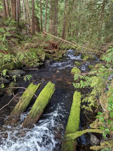 10 Best Trails and Hikes in Powell River A | AllTrails