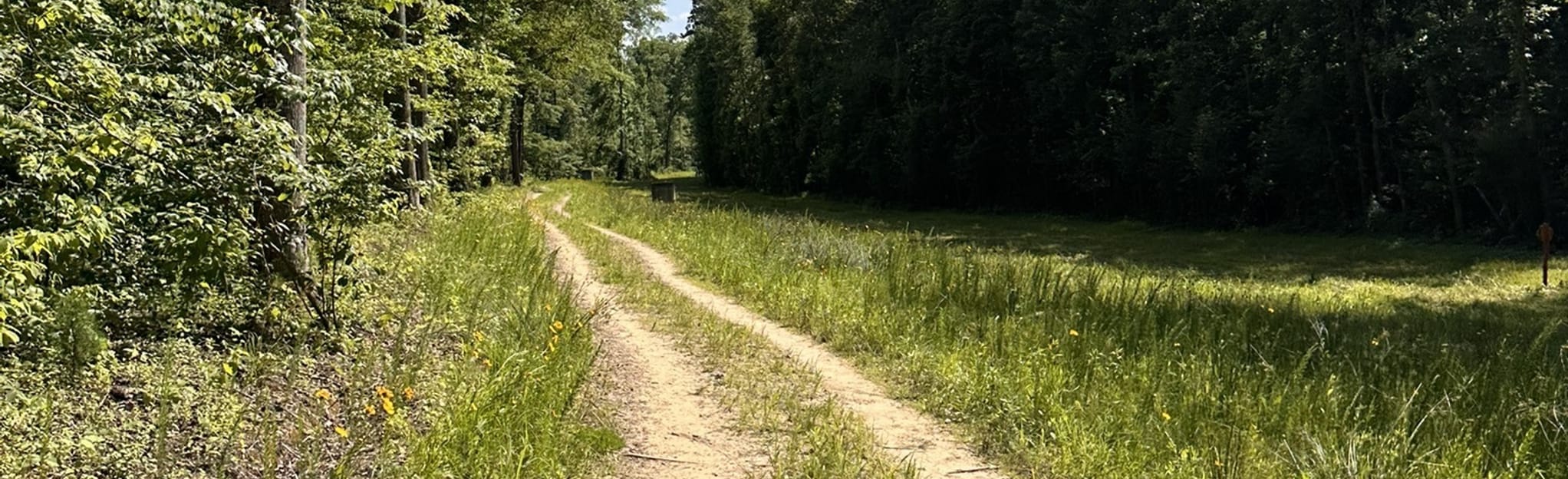 Johnson Ferry Extended Loop, Georgia - 288 Reviews, Map | AllTrails