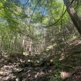Stevens Glen Trail, Massachusetts - 399 Reviews, Map | AllTrails