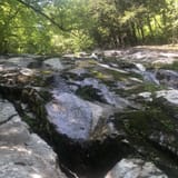 Hedgehog Mountain and Rooster Comb via Wedge Brook Trail Loop , New ...