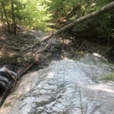 Hedgehog Mountain and Rooster Comb via Wedge Brook Trail Loop , New ...