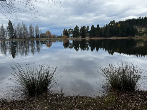 Best Hikes and Trails in Naseby Forest | AllTrails