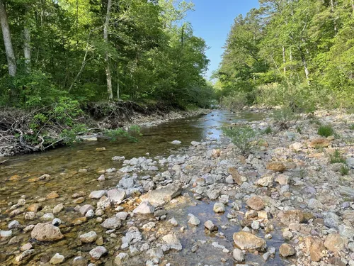 10 Best Camping Trails in Mark Twain National Forest | AllTrails