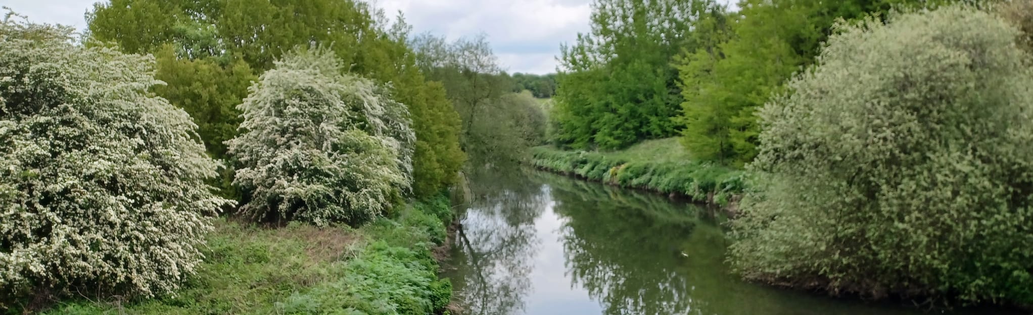 Rother Valley Country Park Circular: 28 Reviews, Map - South Yorkshire ...