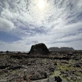 Cape Alava Trail, Washington - 461 Reviews, Map | AllTrails