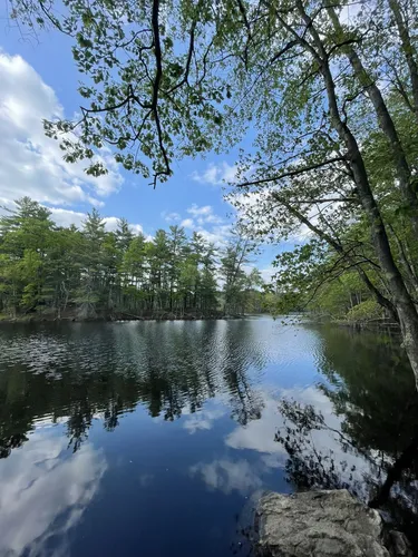 Best Lake Trails in North Reading | AllTrails