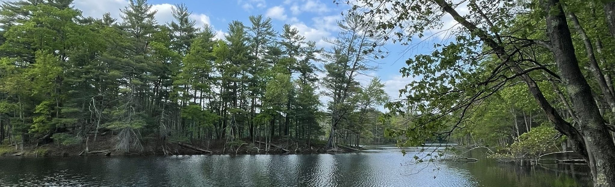 Agawam Loop Trail: 119 Reviews, Map - Massachusetts | AllTrails