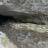 Buggytop Trail to Lost Cove Cave, Tennessee - 681 Reviews, Map | AllTrails