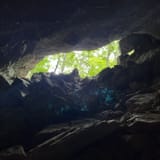 Buggytop Trail to Lost Cove Cave, Tennessee - 681 Reviews, Map | AllTrails