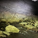 Buggytop Trail to Lost Cove Cave, Tennessee - 681 Reviews, Map | AllTrails