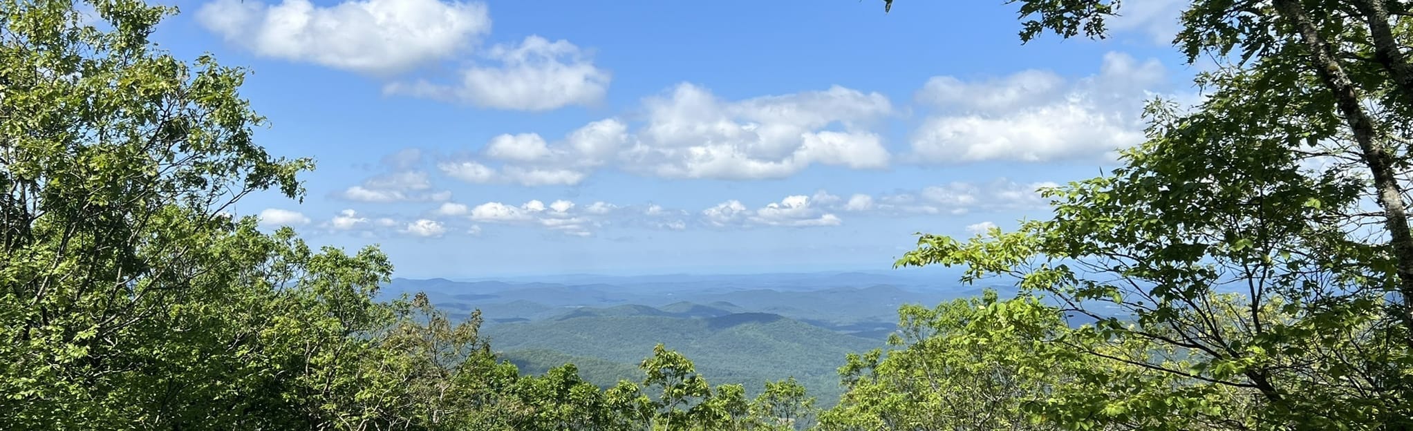 Three Forks and Springer Mountain : 2.285 foto's - Georgia | AllTrails
