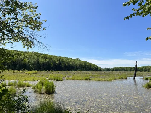 Best Hikes and Trails in Stillwater Natural Area | AllTrails