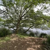 Weatherwax Trail, Washington - 294 Reviews, Map | AllTrails